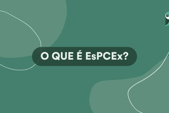 Guia EsPCEx: Entenda o que é e como funciona