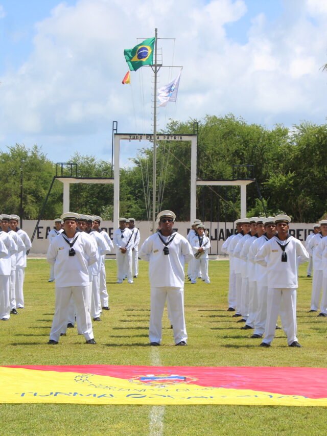 Guia EAM: Entenda o que é e como funciona