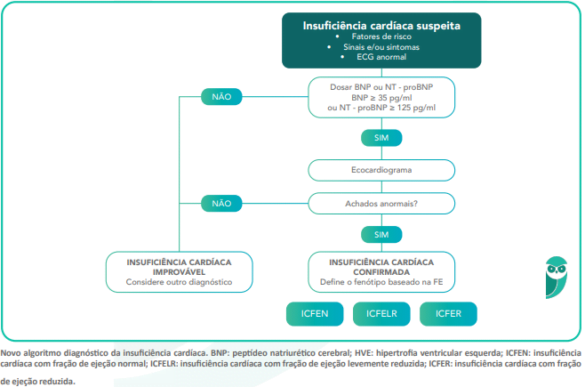 Insuficiência Cardíaca: Classificação, Diagnóstico e Tratamento