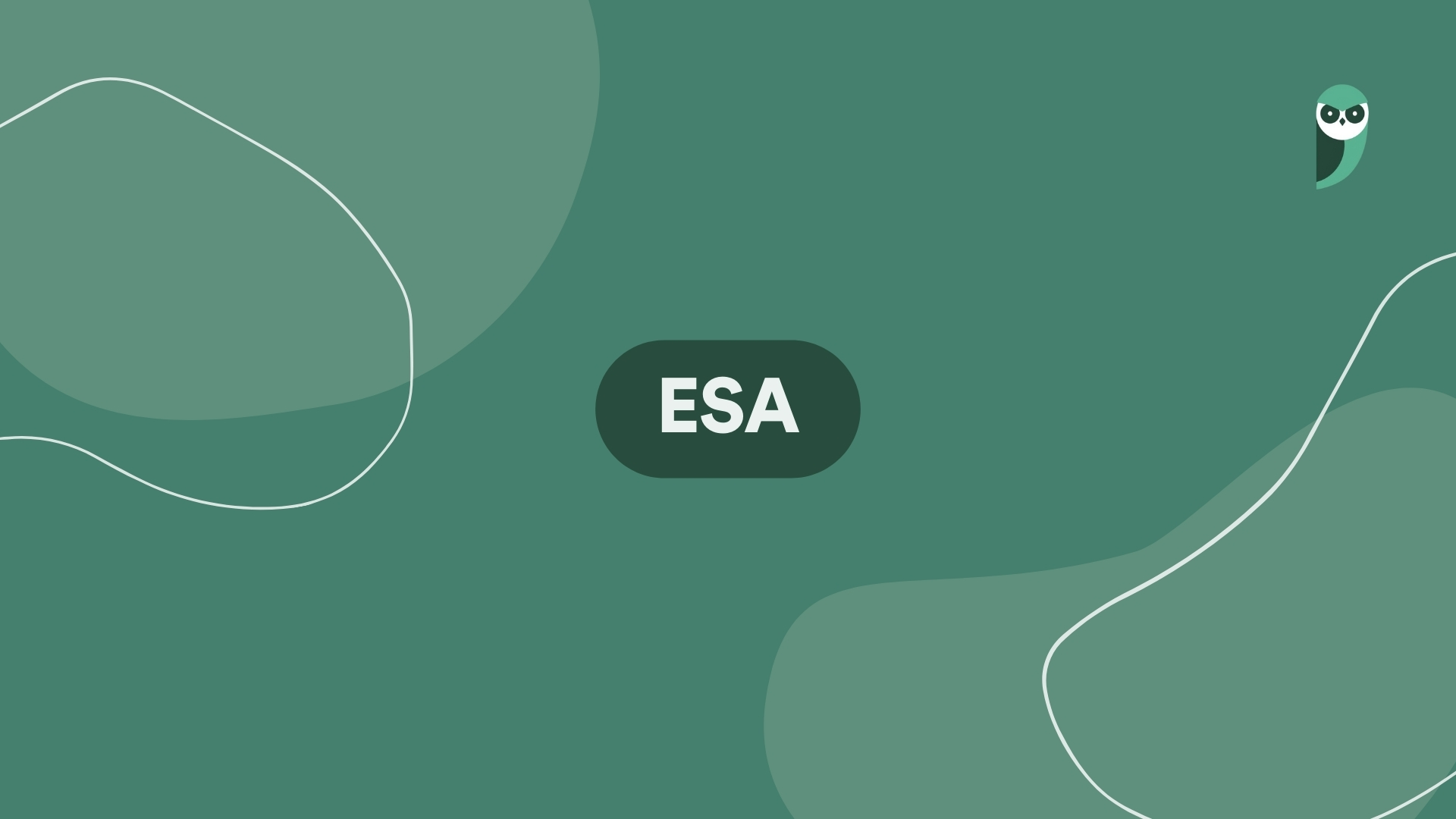 Guia ESA: Entenda o que é e como funciona