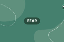 Através ou atravez: entenda a diferença e aprenda o uso correto