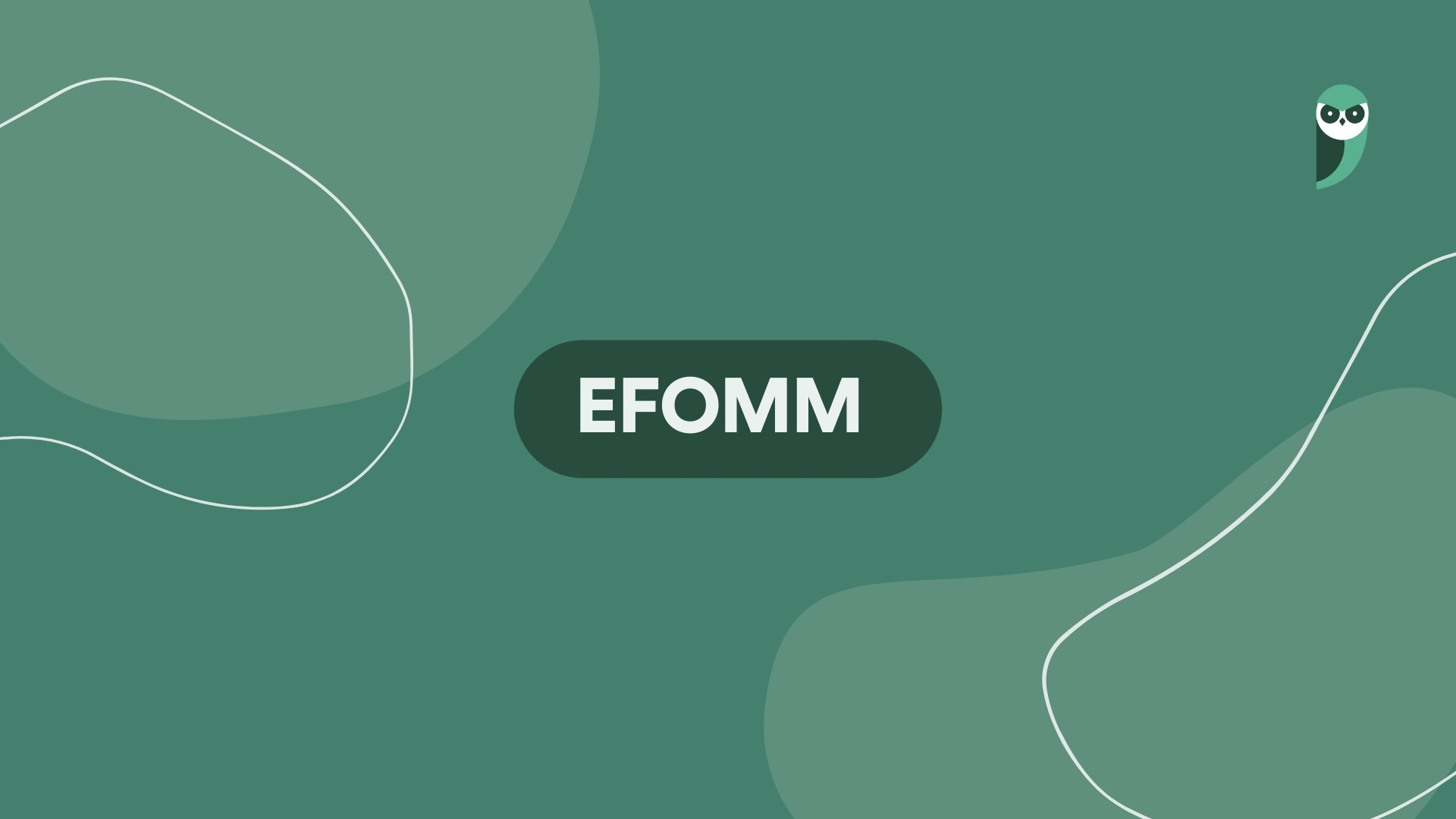 Guia EFOMM: entenda o que é e como funciona