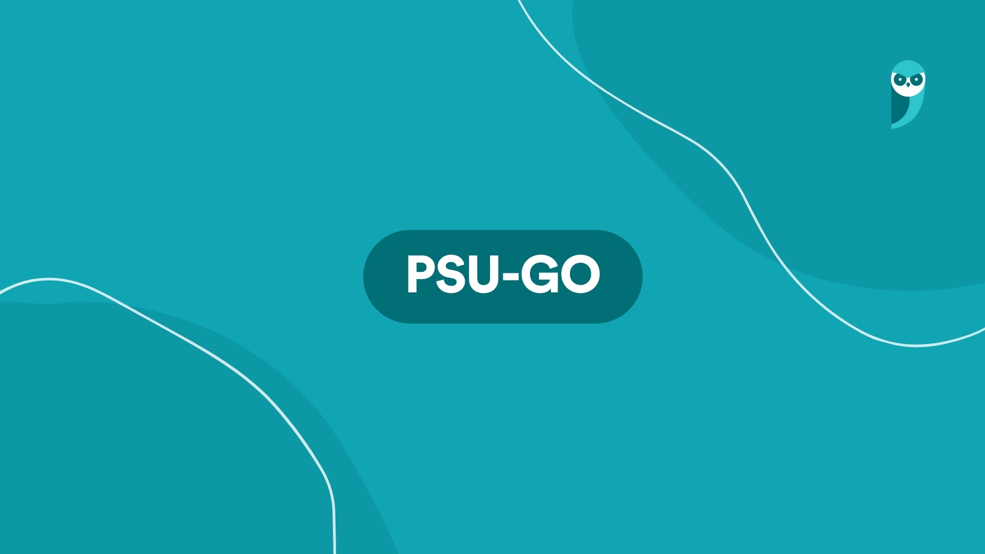 Conheça o processo seletivo do PSU-GO